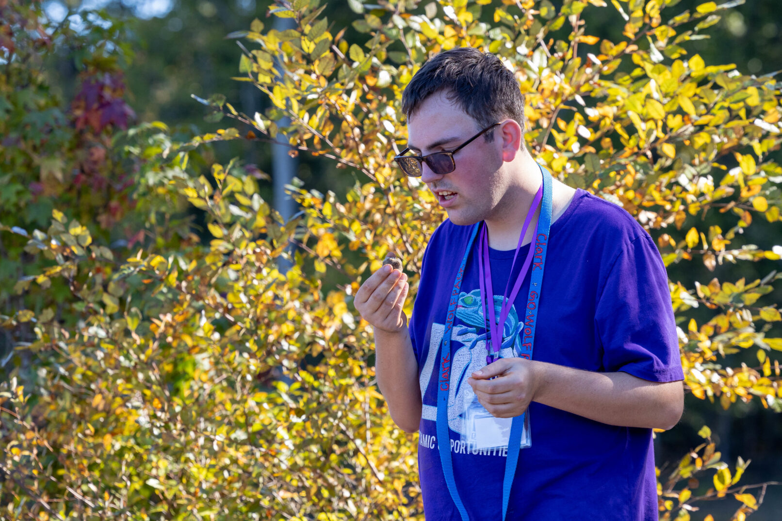 EXHIBITION DAY…BLUE JAY POINT! – Dynamic Opportunities